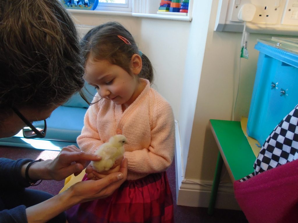 Hatching at Pre-School - West Wycombe Preschool
